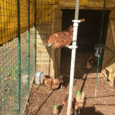 Home - The Lampard Community School